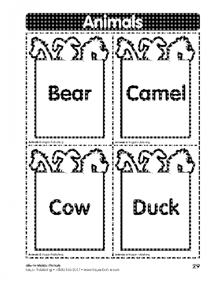 Mix-N-Match Book - Primary - Kagan Australia